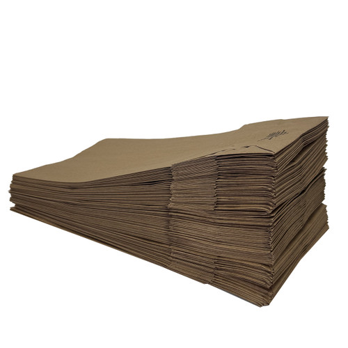 Paper Evidence Bags, Plain - 100/pkg