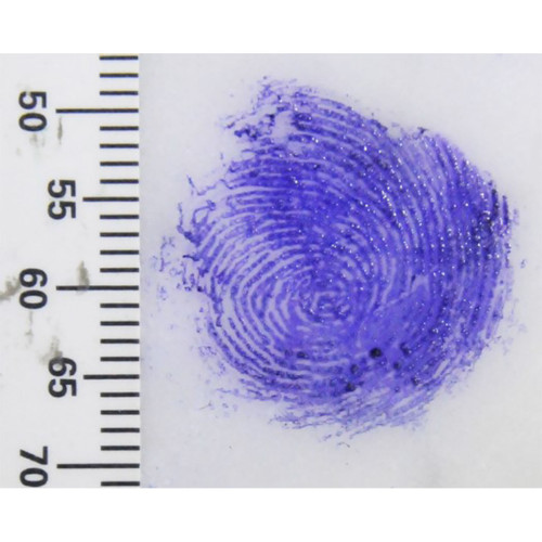 Leuco Crystal Violet