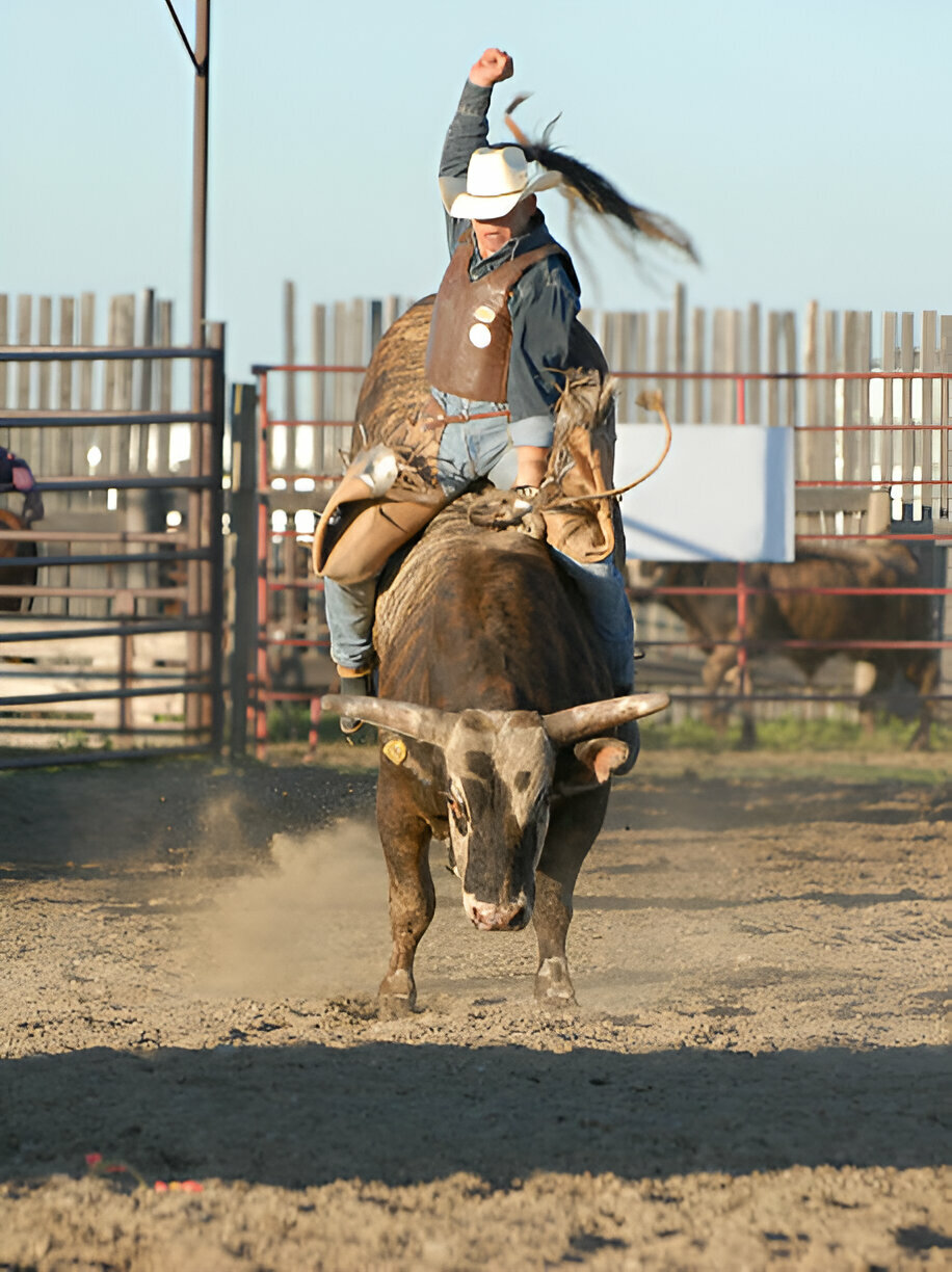 5 Essential Tips for Selecting the Perfect Bull Rope - EPT Bull Ropes