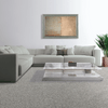 Buy Mohawk Everstrand Revive Residential Carpet for A Great Value at ...