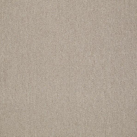 Shaw Philadelphia Commercial Carpet | Georgia Carpet