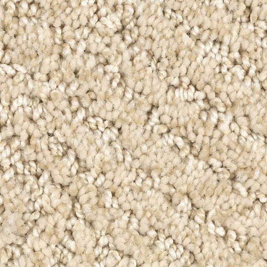 Buy Mohawk Everstrand Bold Choice Residential Carpet for A Great Value ...