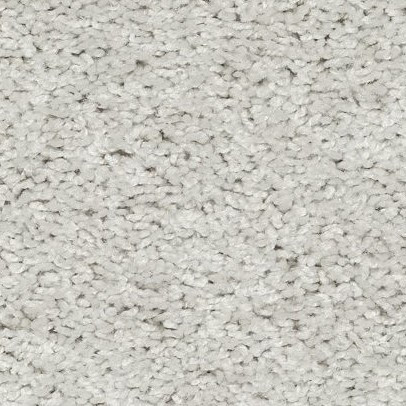Buy Mohawk Everstrand Winning Hand III Carpet for Great Value at ...