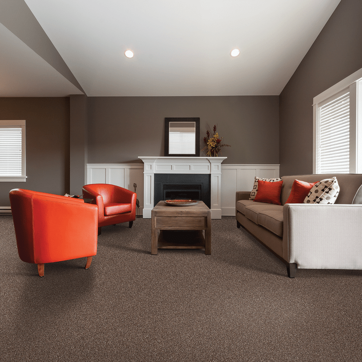 Buy Mohawk SmartStrand True Unity online at Georgia Carpet for a great ...