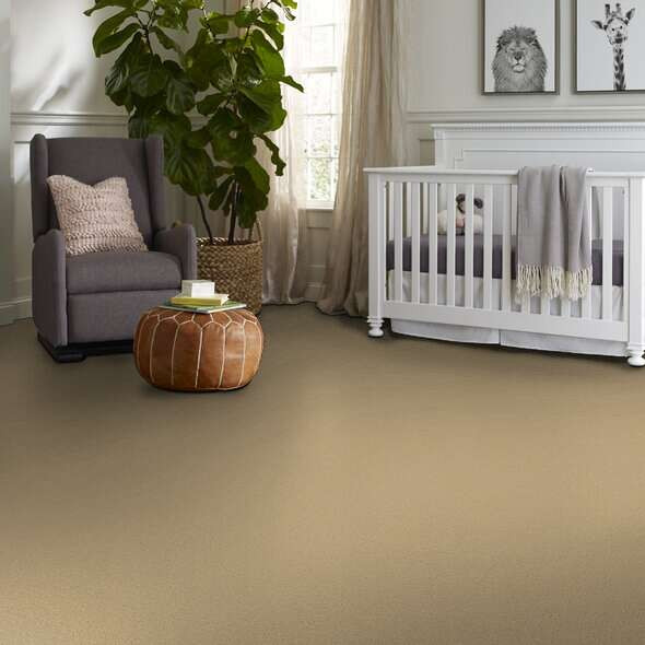 Buy Shaw Colorwall Canvas Comfort Blue at Georgia Carpet for a Low Price