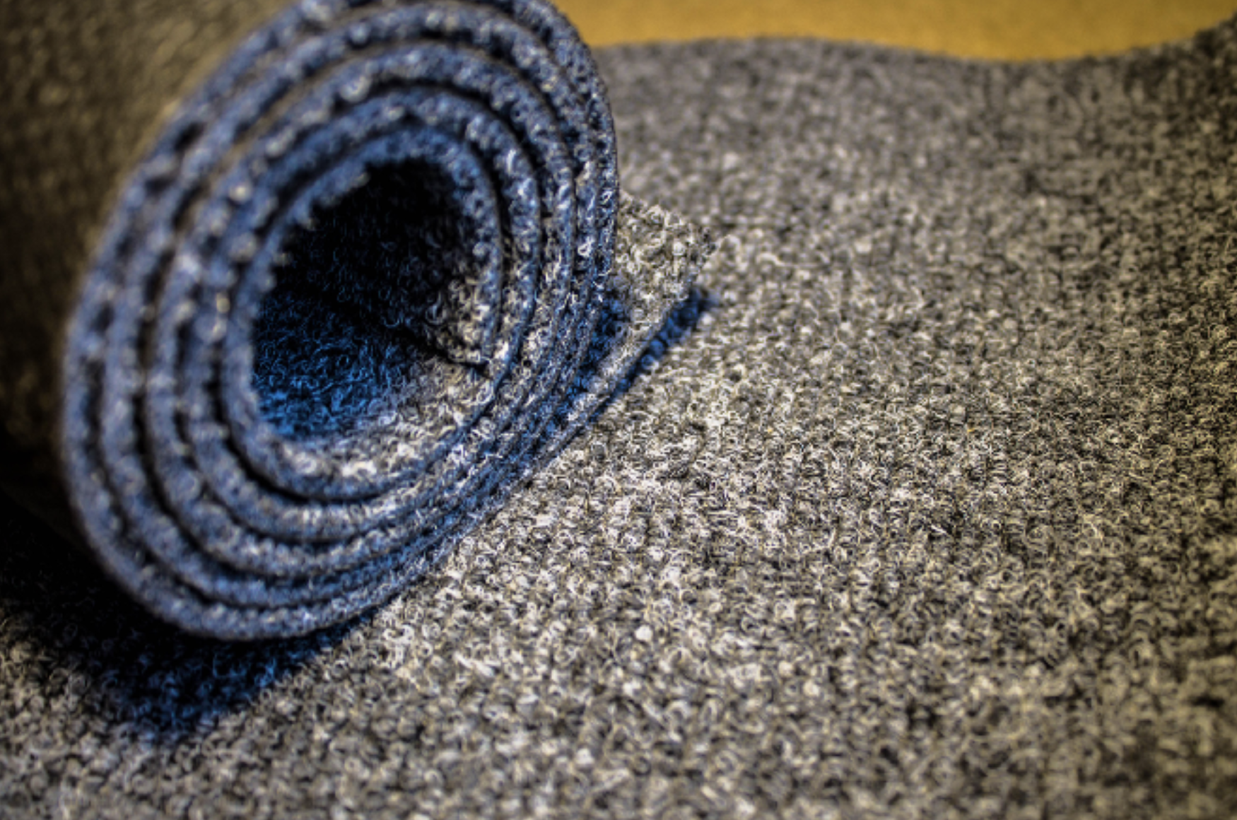 What’s the Best Carpet for High-Traffic Areas? - Georgia Carpet Industries
