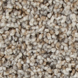 Buy Mohawk Color Fusion I Residential Carpet for A Great Value at ...