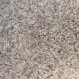 Clearance Shaw 53.6 oz. Frieze Residential Carpet 224 SF $700 Free Shipping