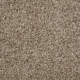 Buy Arbor View Indoor Outdoor Turf Carpet for a Low Price at Georgia Carpet