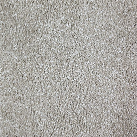 SmartStrand Exquisite Shades 2S18 is at Georgia Carpet for a great value