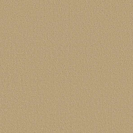 Buy Shaw Colorwall Canvas Comfort Blue at Georgia Carpet for a Low Price