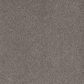 Buy Engineered Floors DreamWeaver Beach Club III Residential Carpet at ...