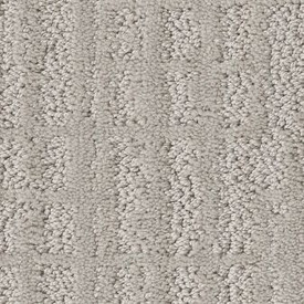 Shaw Skyline Shift Pet Perfect is Available for a Great Price at ...