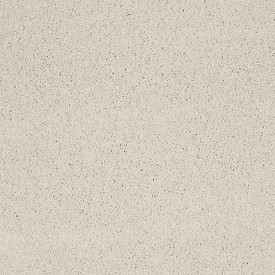 Buy Shaw Quiet Comfort IV CCB33 at Georgia Carpet for an Affordable Price.
