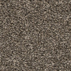 Buy 2400 sf Mohawk Everstrand Revive Residential Carpet Roll for $1750