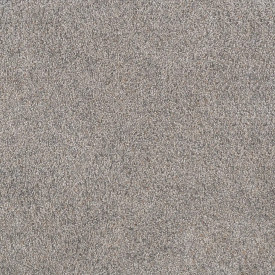 Buy Dreamweaver Rustic Retreat I Residential Carpet at Georgia Carpet ...