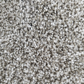 Georgia Carpet 396 Square Feet Residential Carpet 24A103 Final Sale ...