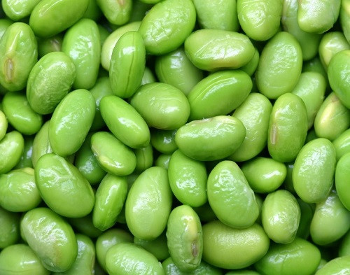 Be Sweet Soybean - 60 Seeds - High in Protein - Hirt's Gardens