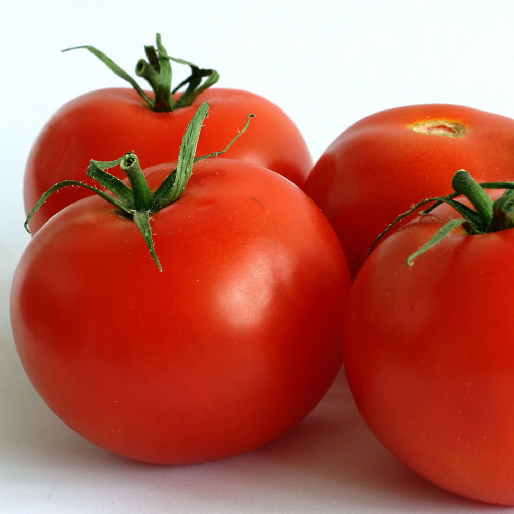 Cal Ace Tomato - 20 Seeds - Hirt's Gardens