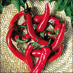 Goat Horn Hot Pepper - 20 Seeds - Hirt's Gardens
