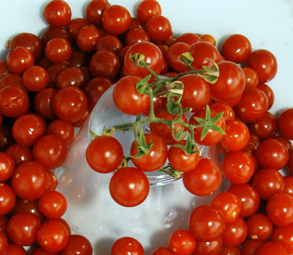Red Currant Tomato 30 Seeds - Heirloom -Tart/Sweet - Hirt's Gardens