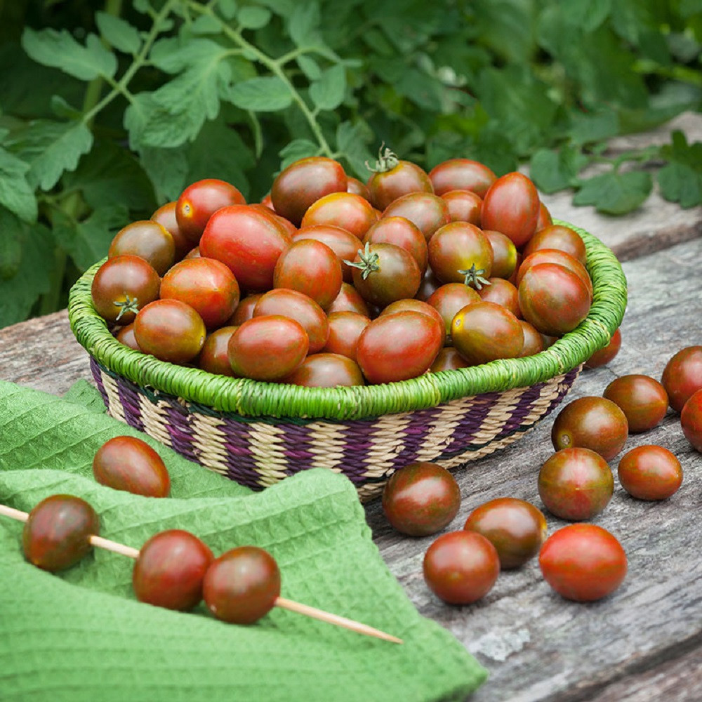 Black Russian Tomato 30 Seeds - Heirloom - Hirt's Gardens