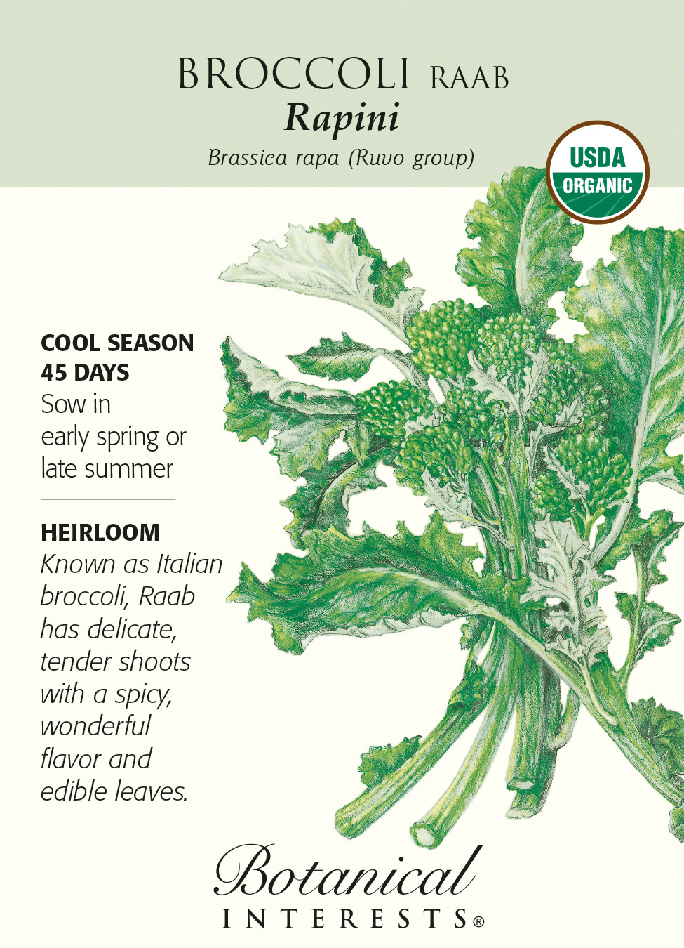 Rapini Broccoli Raab Seeds - 1 gram - Certified Organic - Hirt's Gardens