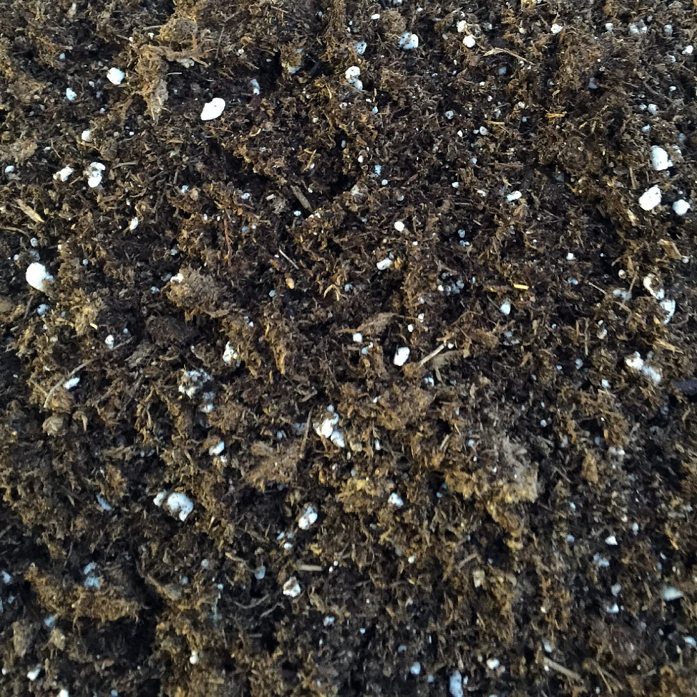 Hirt's Gardens All Natural General Purpose Potting Soil - 4 Quart ...
