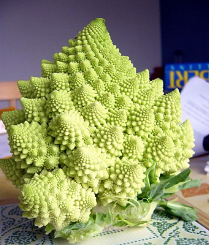 Heirloom Romanesco Broccoli - 50 Seeds - Hirt's Gardens