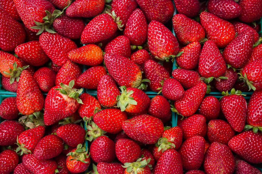White Carolina Pineberry Plants - 25 Roots -Bareroot-Pineapple ...