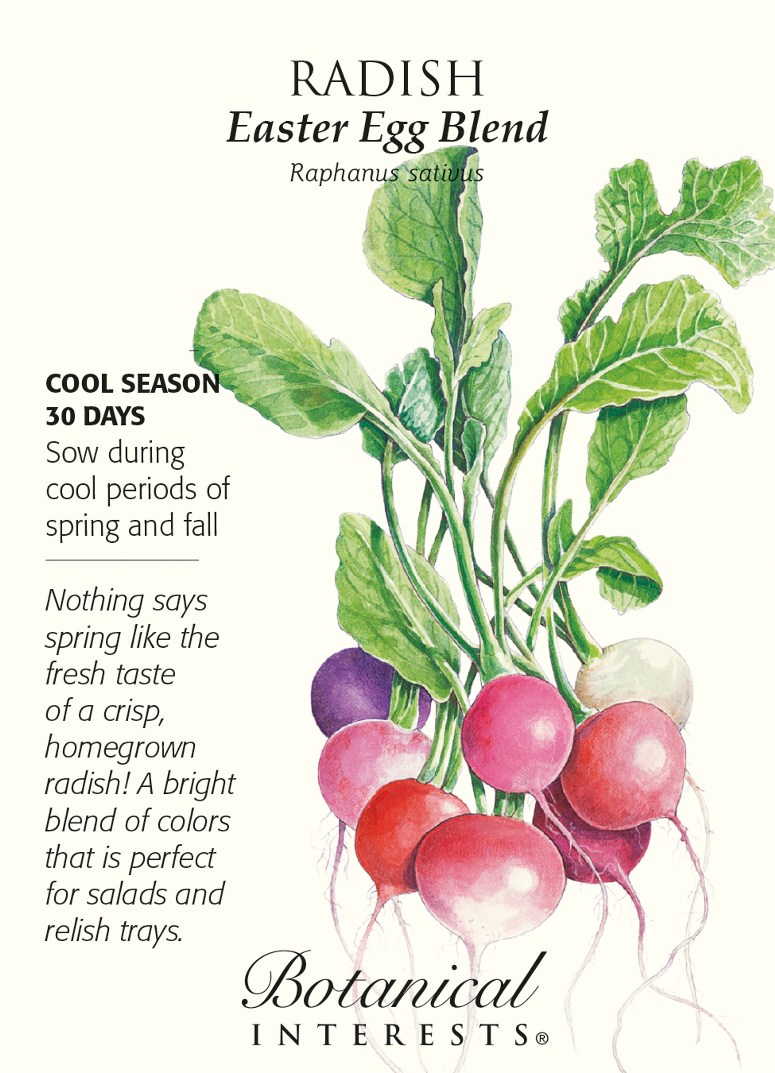 Easter Egg Blend Radish Seeds - 4 grams - Hirt's Gardens