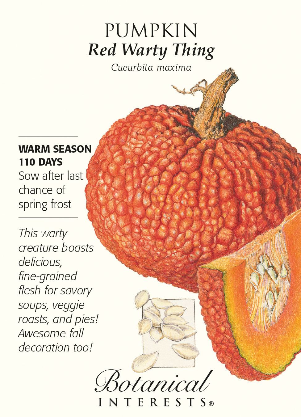 Red Warty Thing Pumpkin Seeds - 8 Seeds - Hirt's Gardens