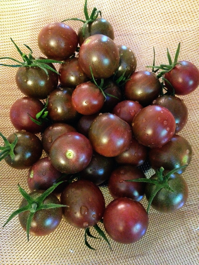 Eva Purple Ball Tomato - 20 Seeds - German Heirloom - Hirt's Gardens