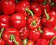 Baby Red Pepper - 20 Seeds - Miniature Bell - Hirt's Gardens