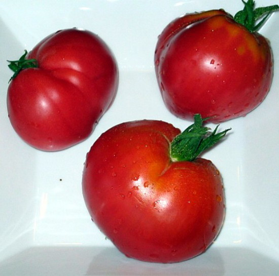Red Oxheart Tomato - 20 Seeds - Hirt's Gardens