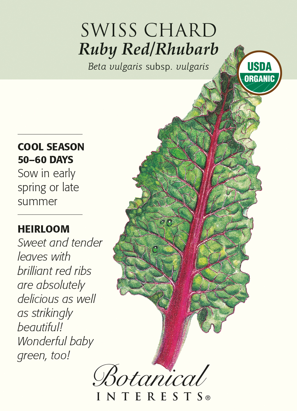 Ruby Red Swiss Chard Seeds - 2 grams - Organic - Hirt's Gardens