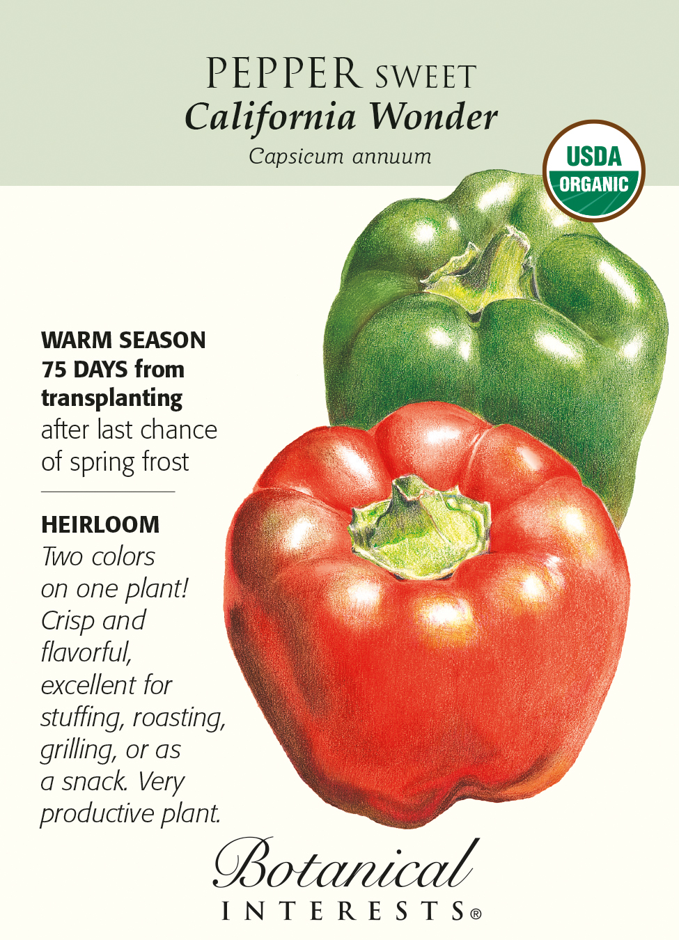 California Wonder Sweet Pepper Seeds - 30 Seeds - Organic - Hirt's Gardens