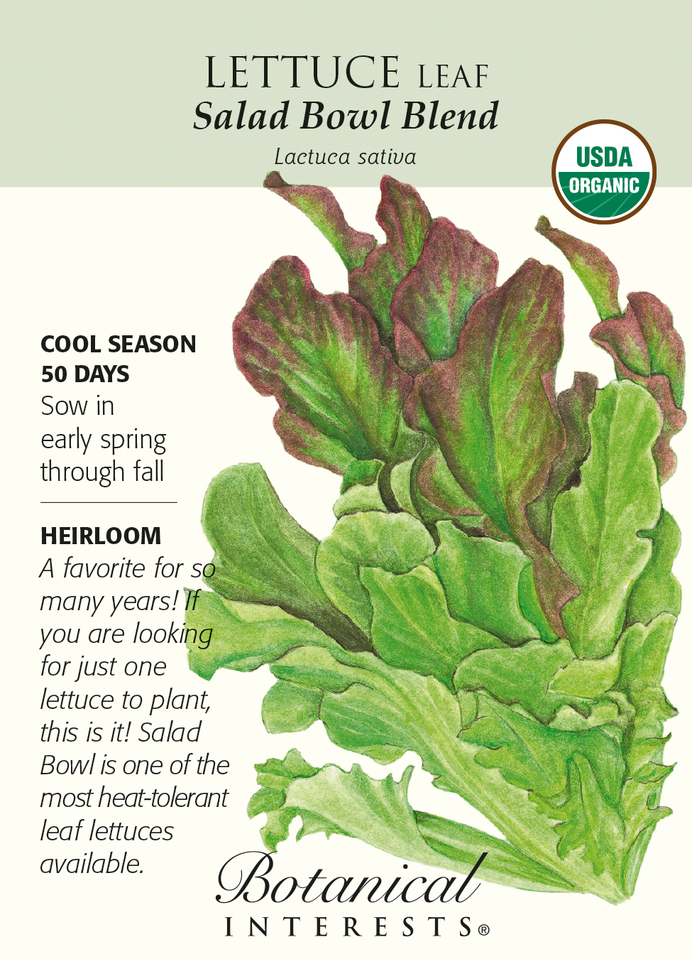 Organic Salad Bowl Blend Leaf Lettuce Seeds - 750 mg - Hirt's Gardens