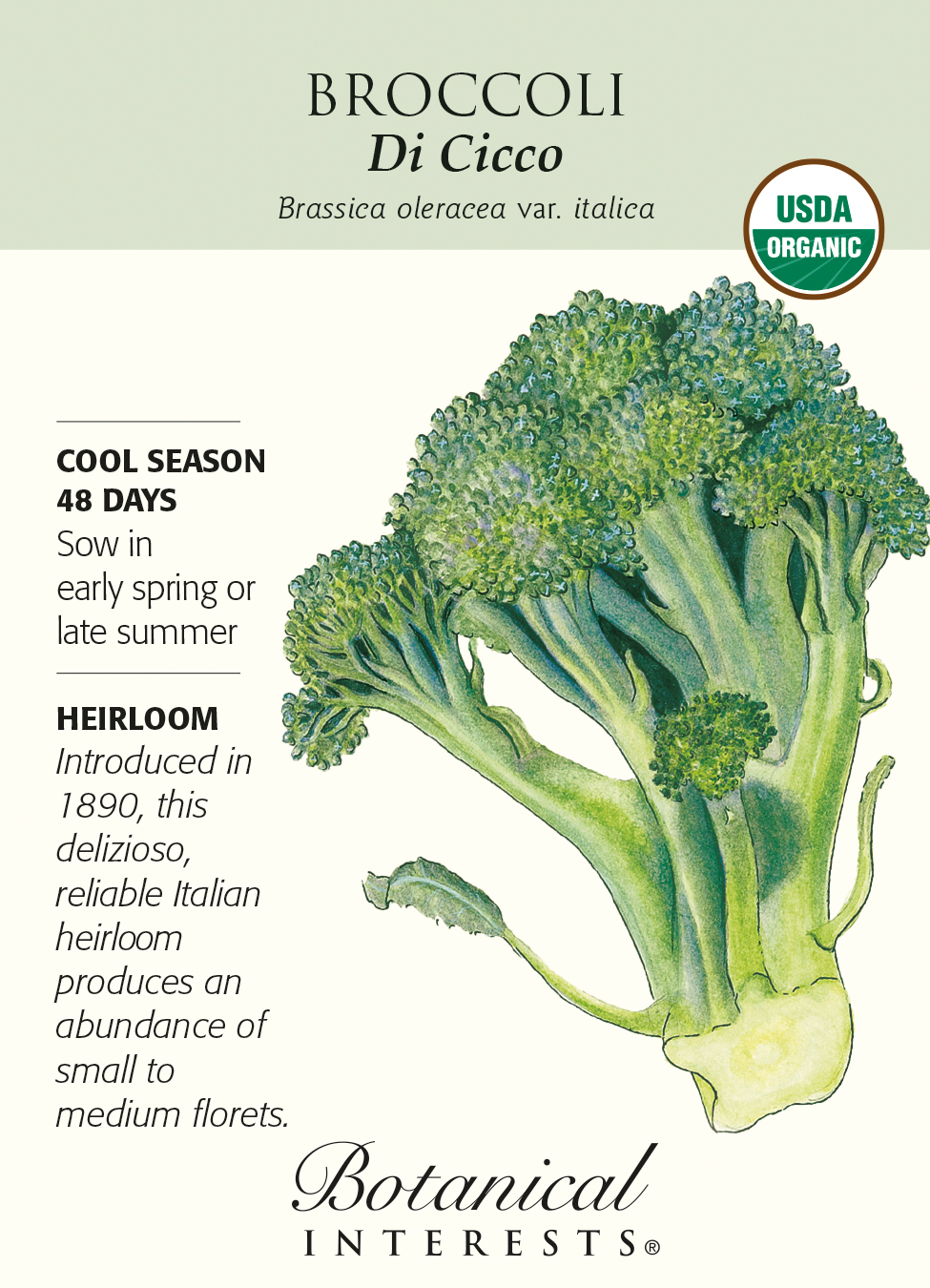 Organic Di Cicco Broccoli Seeds - 1.5 grams - Hirt's Gardens