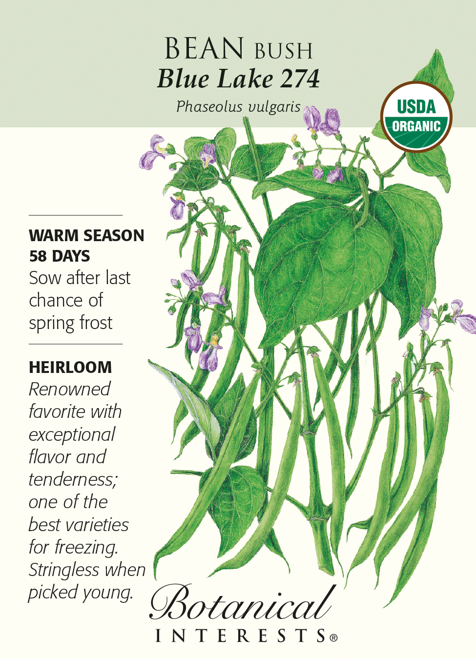 Blue Lake 274 Bush Bean Seeds - 20 grams - Organic - Hirt's Gardens