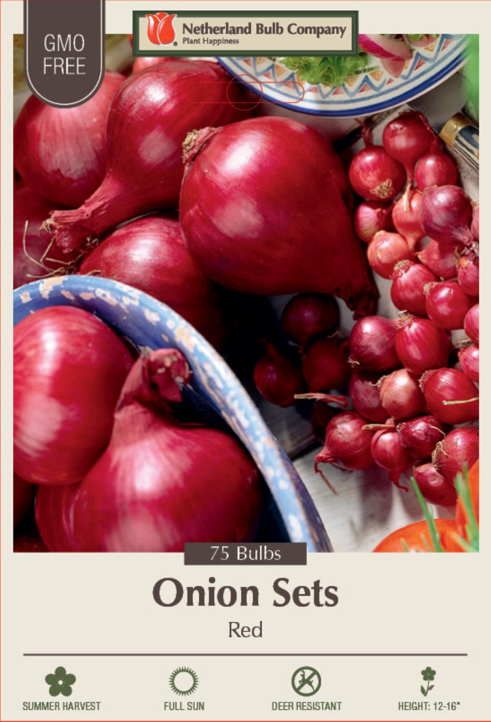 red onion set