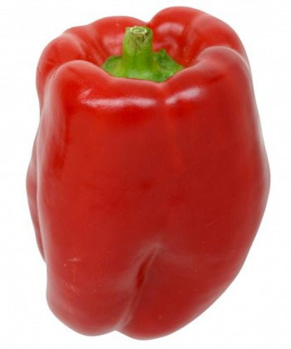 Keystone Giant Sweet Pepper - 20 Seeds - Huge - Hirt's Gardens