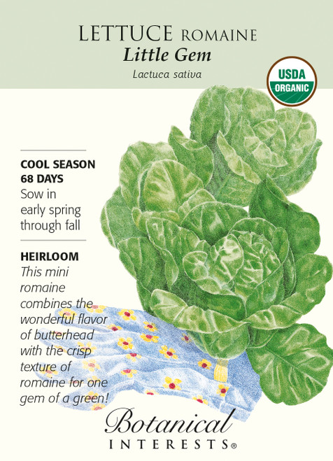 Organic Little Gem Romaine Lettuce Seeds - 500 Mg - Hirt's Gardens