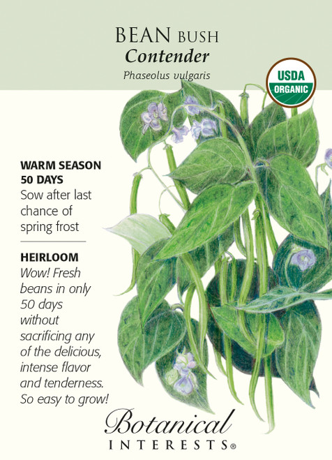 Organic Contender Bush Bean Seeds - 20 Grams - Hirt's Gardens
