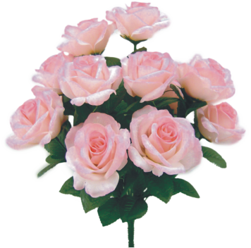 Colorfast Open Lillian Rose Bush - Baby Pink - Ben Franklin Online