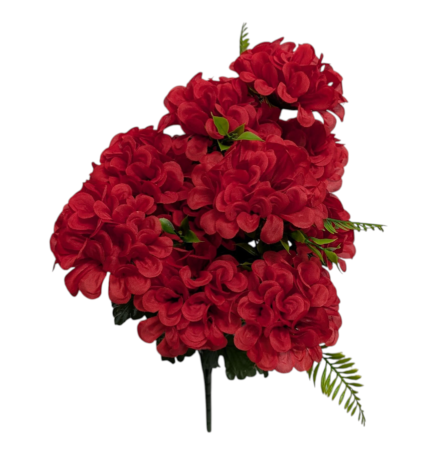 Red Snowball Bush - Ben Franklin Online