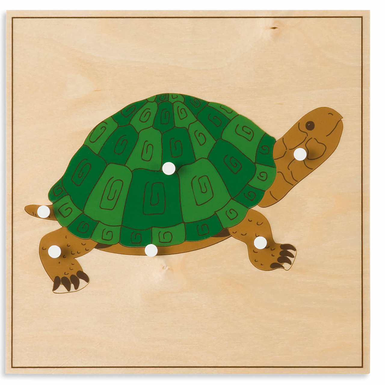 Animal Puzzle: Turtle - Think Education Supplies