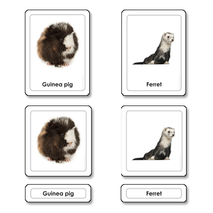 Mammals - 3 Part Cards - Think Education Supplies