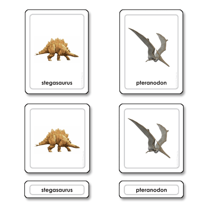Dinosaurs - 3 Part Cards - Think Education Supplies