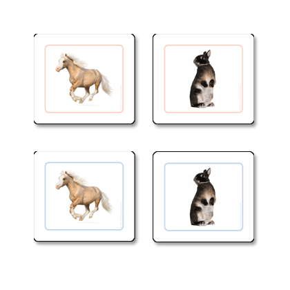 Mammals Matching Cards pvc - Think Education Supplies
